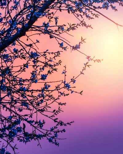 Remembering Mary Kay Russell | Obituaries | Maryville Memorial Funeral Home